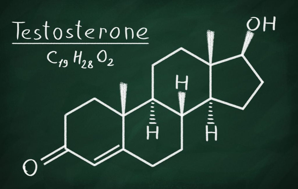 Testosterone & Muscle Growth: Strength, Energy & Performance